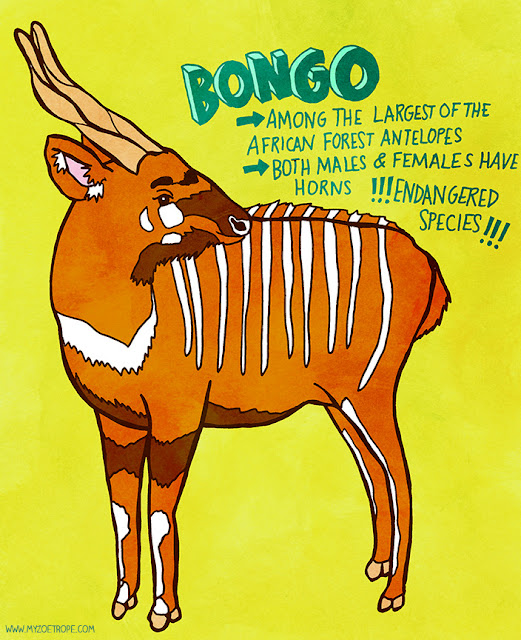 My Zoetrope: 035: Bongo