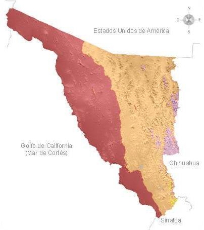 SONORA : REGIÓN SUR