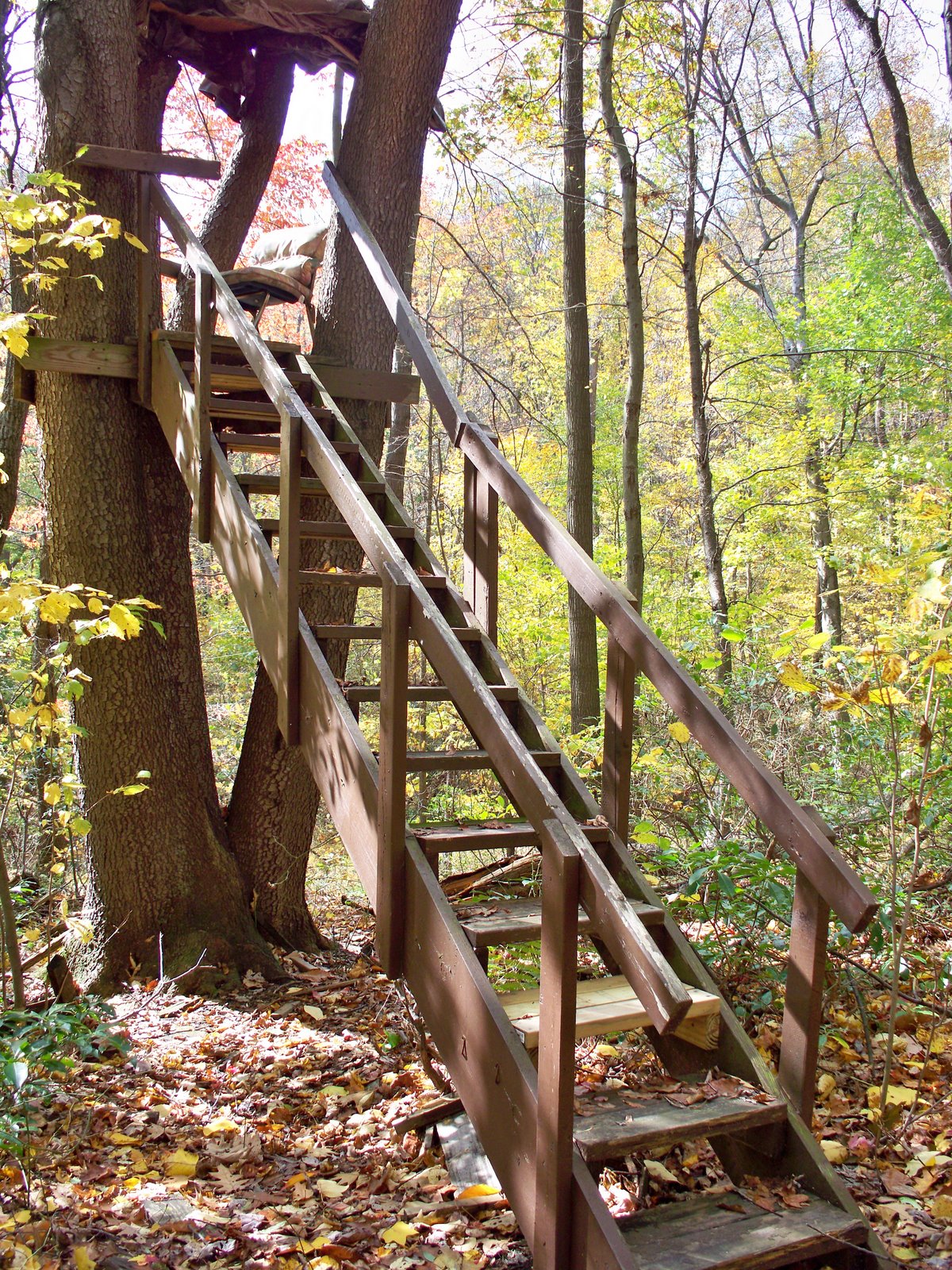 Vintage Johnstown: Tree Stand