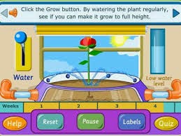 PLANTS GAMES ~ MY ENGLISH AND SCIENCE