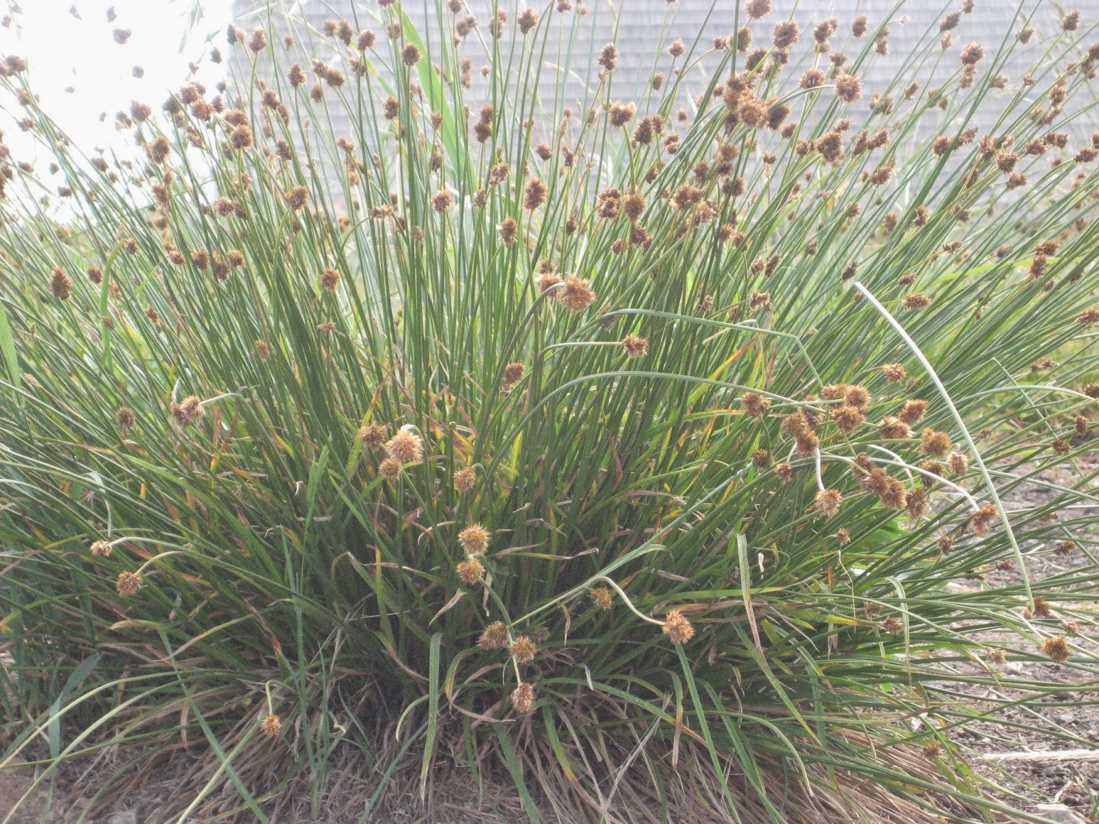Let's Go! Crater Lake, Oregon's National Park