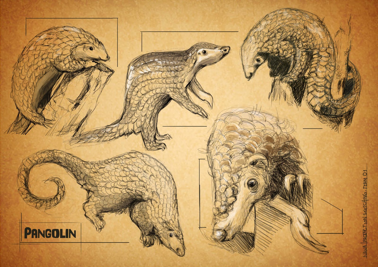 Sandshrew y Sandslash (Pokemon Origenes) - Pokemon GS - 3DJuegos