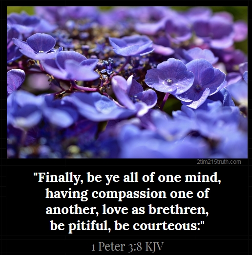 2 Timothy 2:15 Truth: Verse of the Day: 1 Peter 3:8 KJV