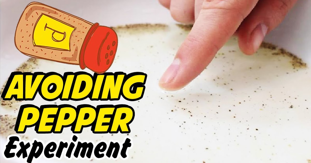 Science Experiment: Avoiding Pepper Experiment