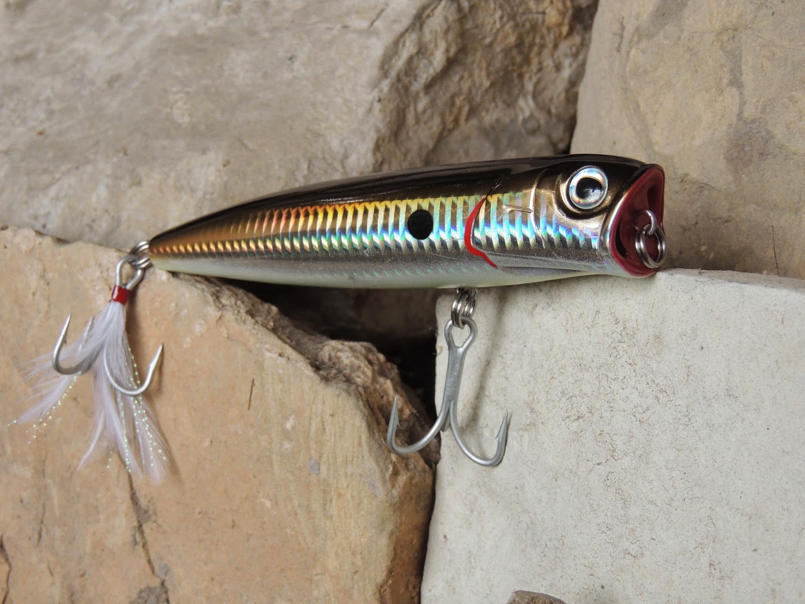 Pesca Costera Mexico: Tsunami Poppers para la Pesca en aguas Mexicanas.