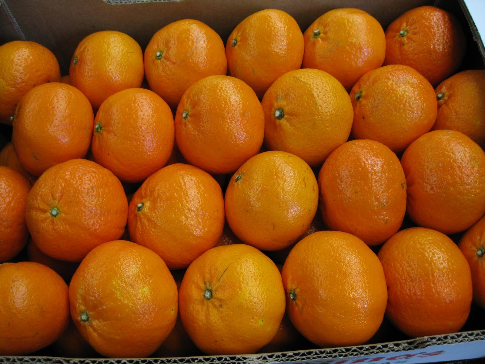 Agronovida: EL CULTIVO DE LAS MANDARINAS Comercializacion