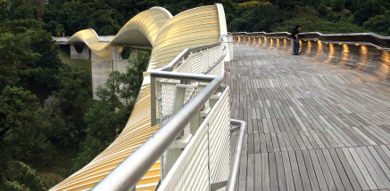 Henderson Waves Bridge ~ Travelz mania