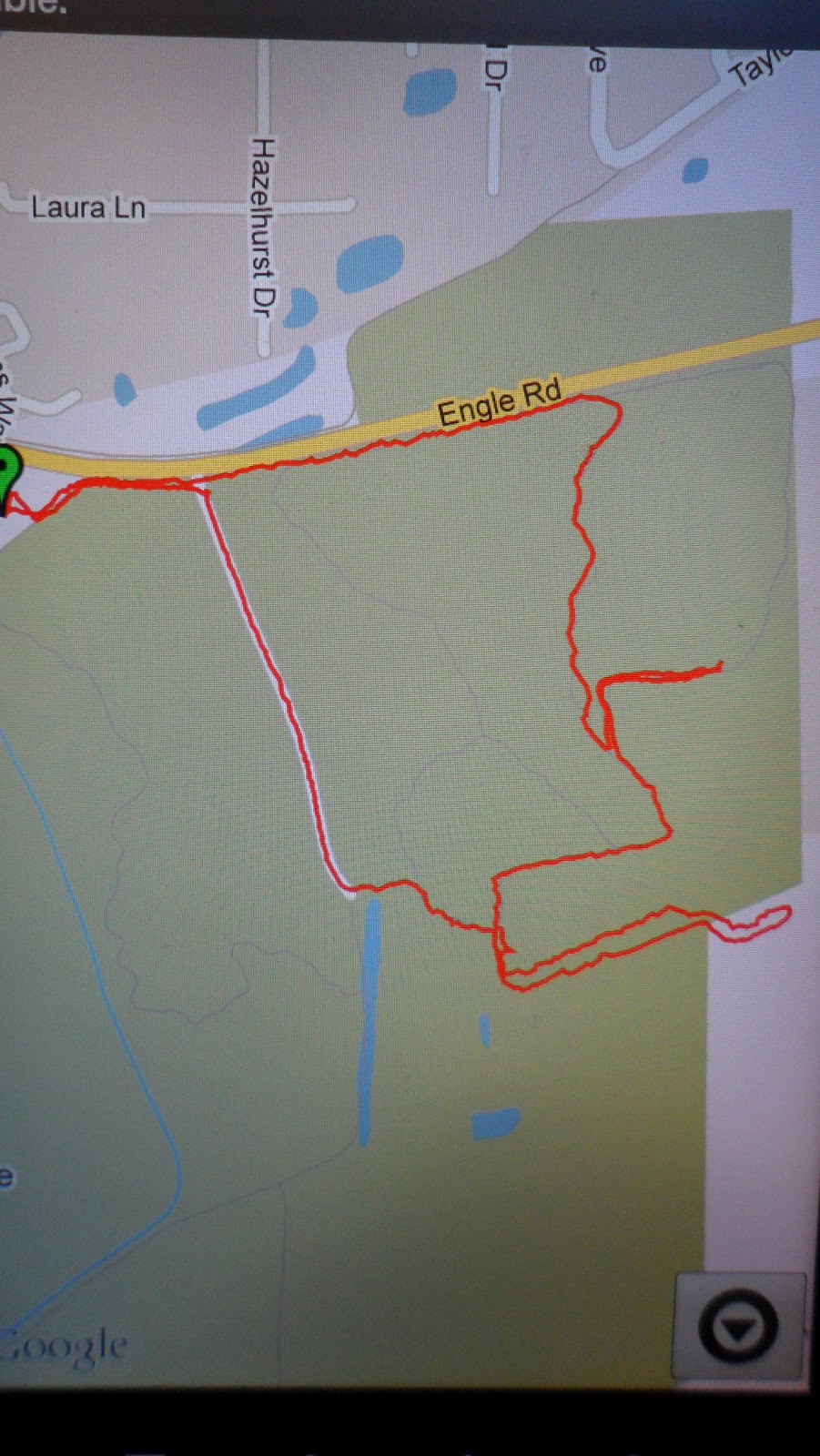 Keirns Hiking Adventures: Eagle Marsh Wetlands 1