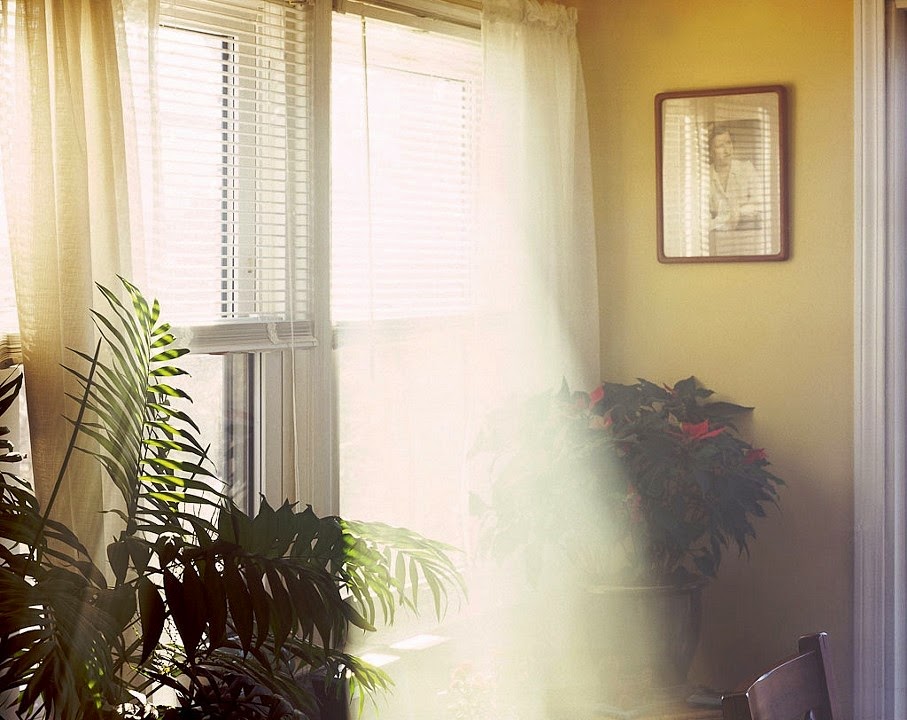 Oh, by the way...: BEAUTY: Photography--Alexander Harding