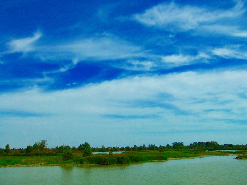 Studiamando liberamente: Visita all'Oasi La Rizza