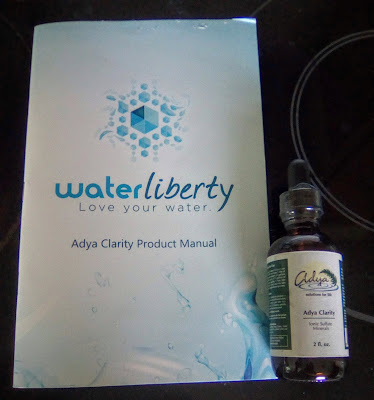 The Long and Winding Road to Wellness: Protecting Myself from the Gunk ...