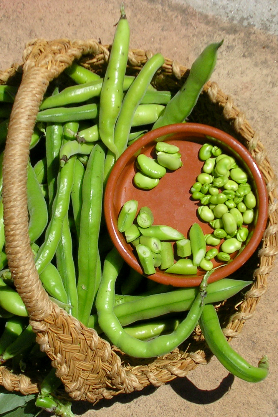 MY KITCHEN IN SPAIN: LUNCH JUST FOR ME—FAVA BEANS FROM THE GARDEN