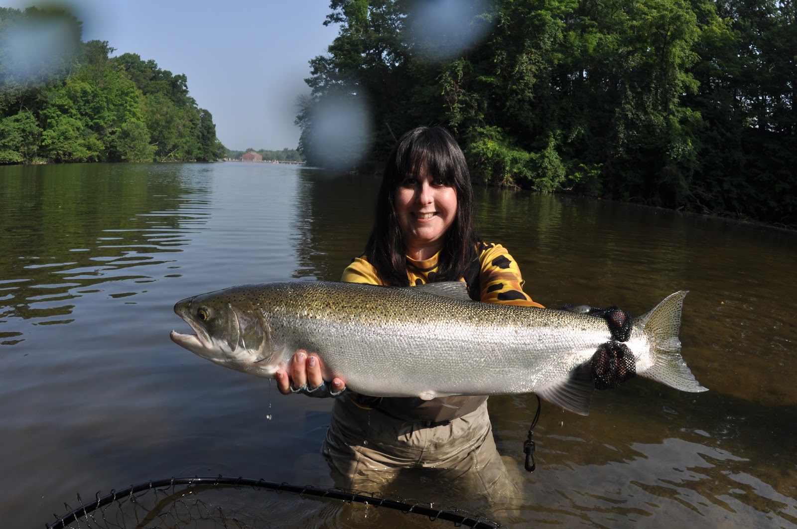 IT'S ALREADY STARTING...THE AMAZING SUMMER RUN SKAMANIA STEELHEAD!