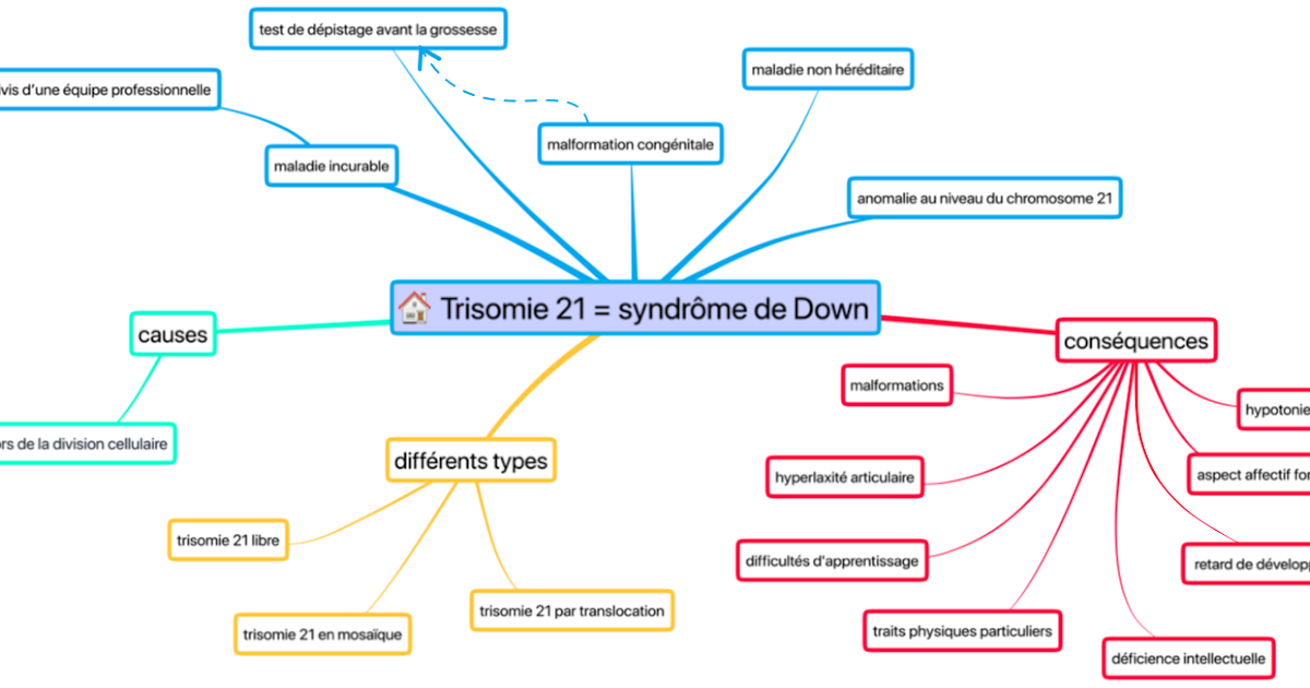 Mon ortho-portfolio: Déficience mentale