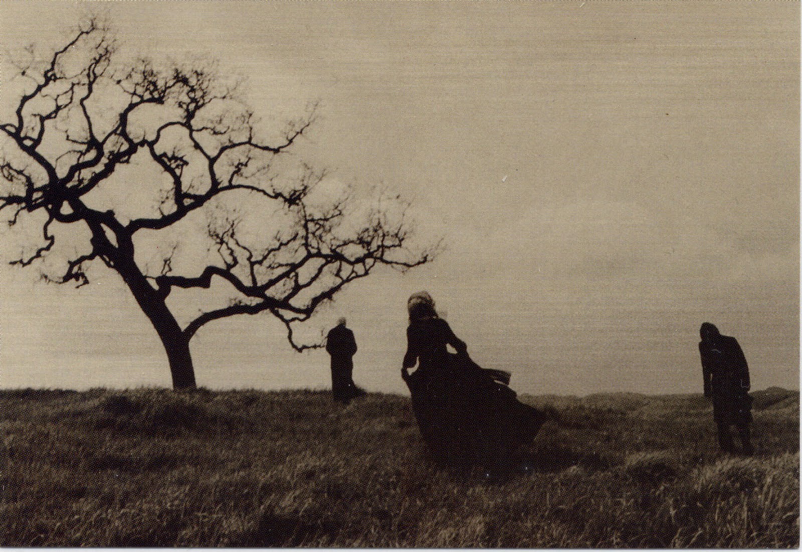 Smashing Pumpkins: "Ava Adore"