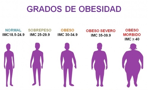 NUTRICIÓN: LA OBESIDAD