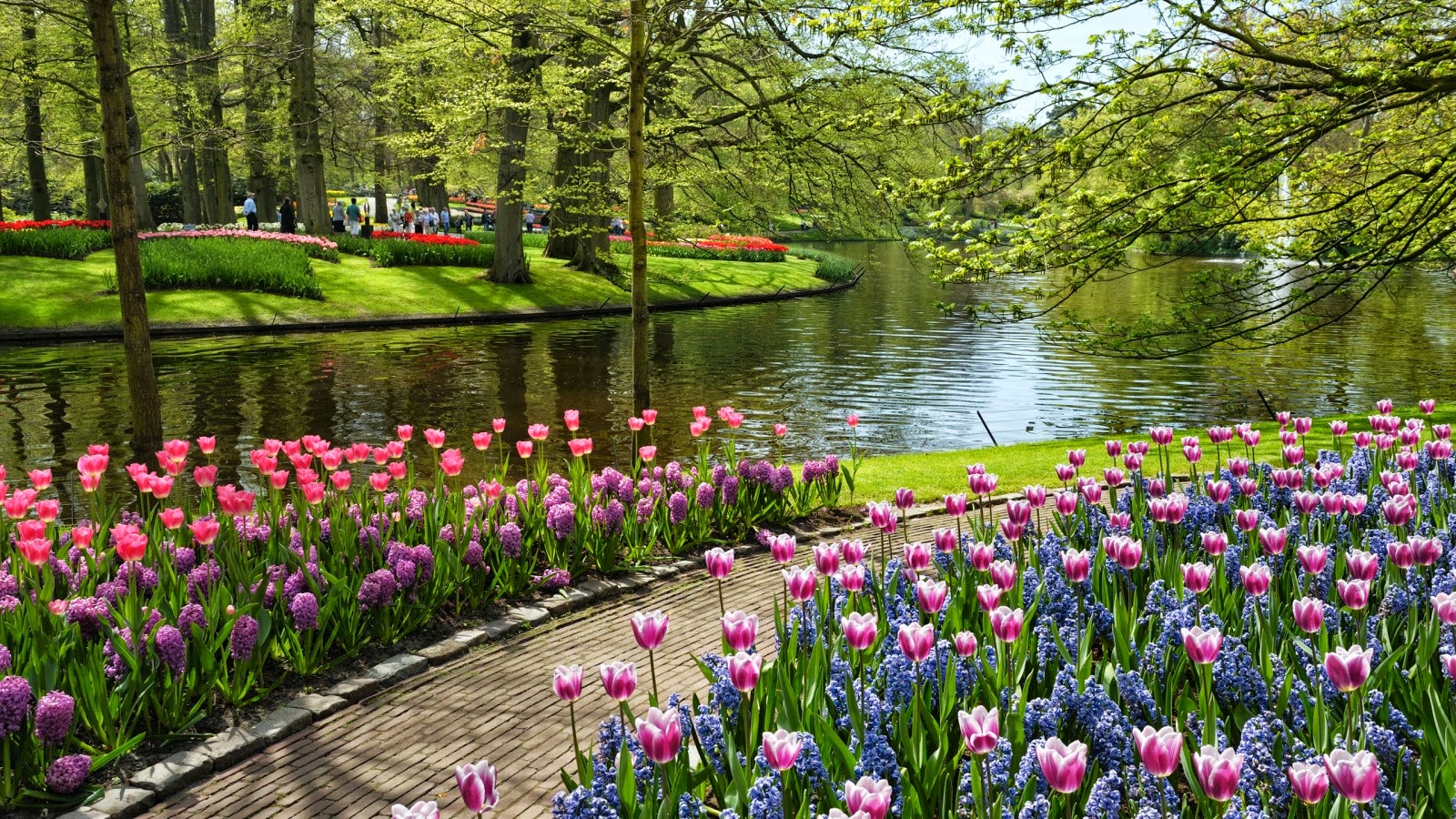 Pinceladas Actuales: Keukenhof, El Parque Floral Mas Visitado
