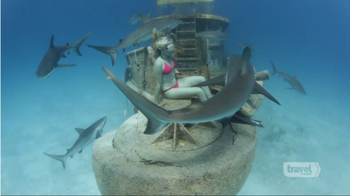 A View from the Beach: The Shark Lady