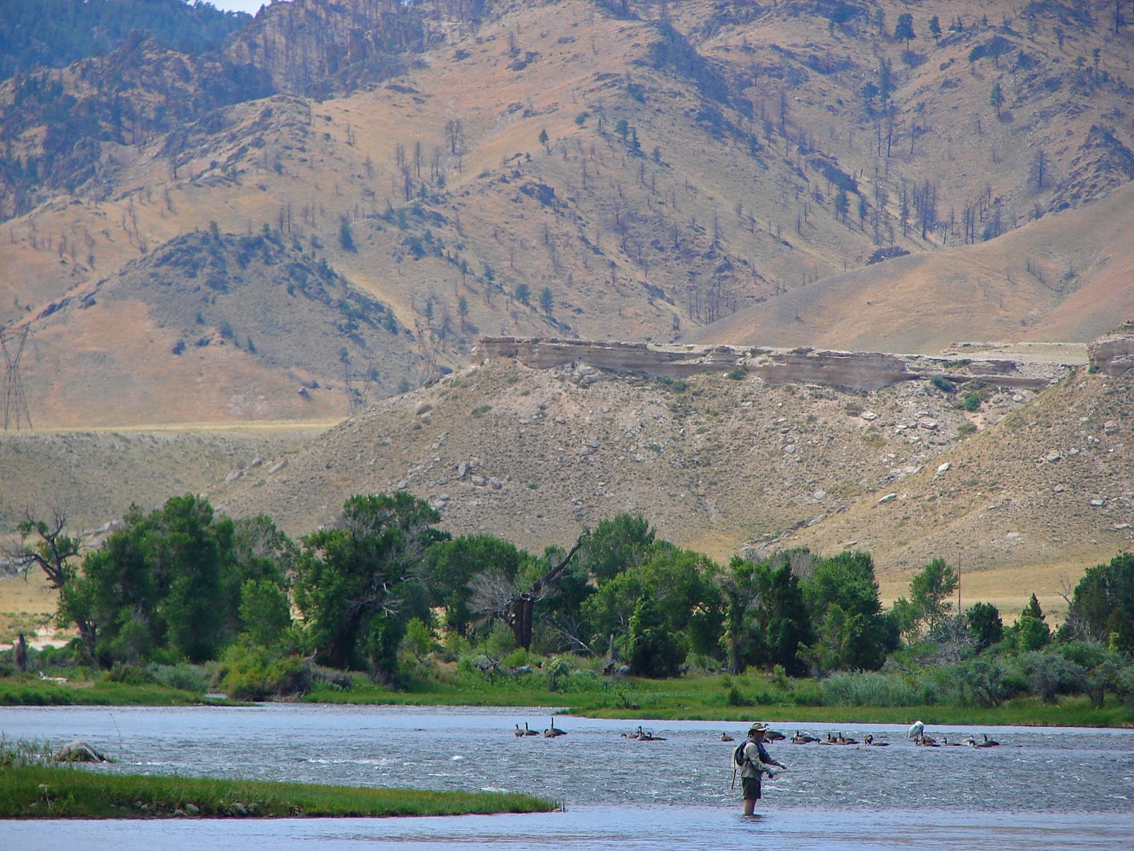 Tabors Repose: Alcova, WY: Miracle Mile/Grey Reef, July 2016