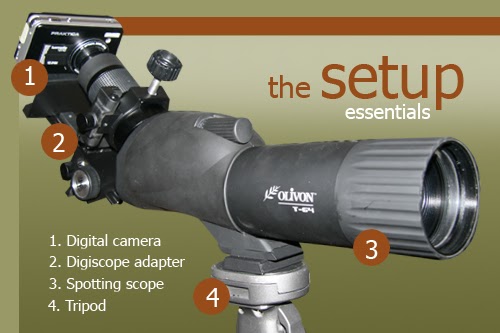 one D'igital PhotoTALKs: Digiscoping