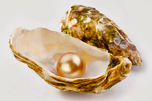 El Arte de la Orfebrería y Joyería : Diez hechos asombrosos sobre la perla