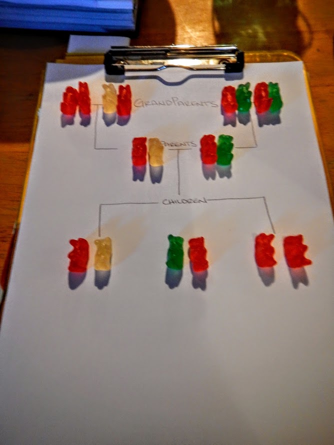 Tales of the 10th West Irregulars: human anatomy: DNA and GENES