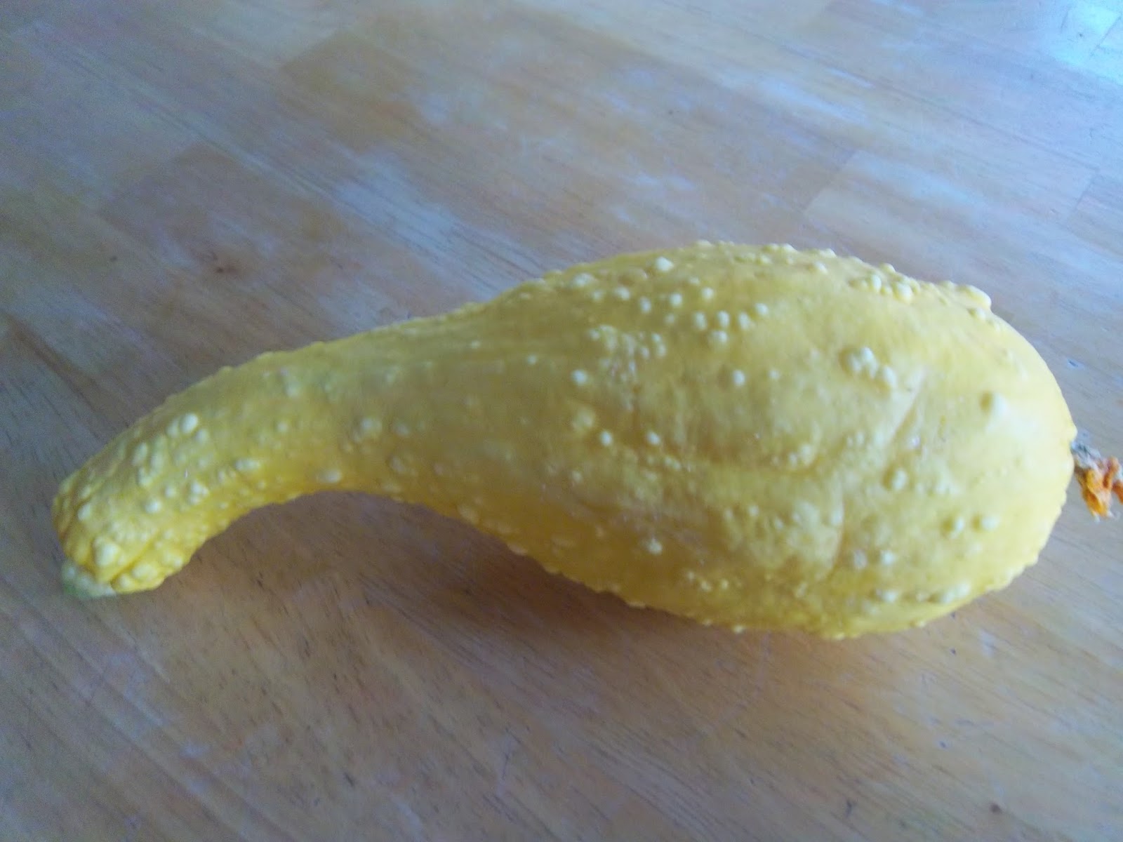 Twirlly Girls!: Crook Neck Squash Bread!