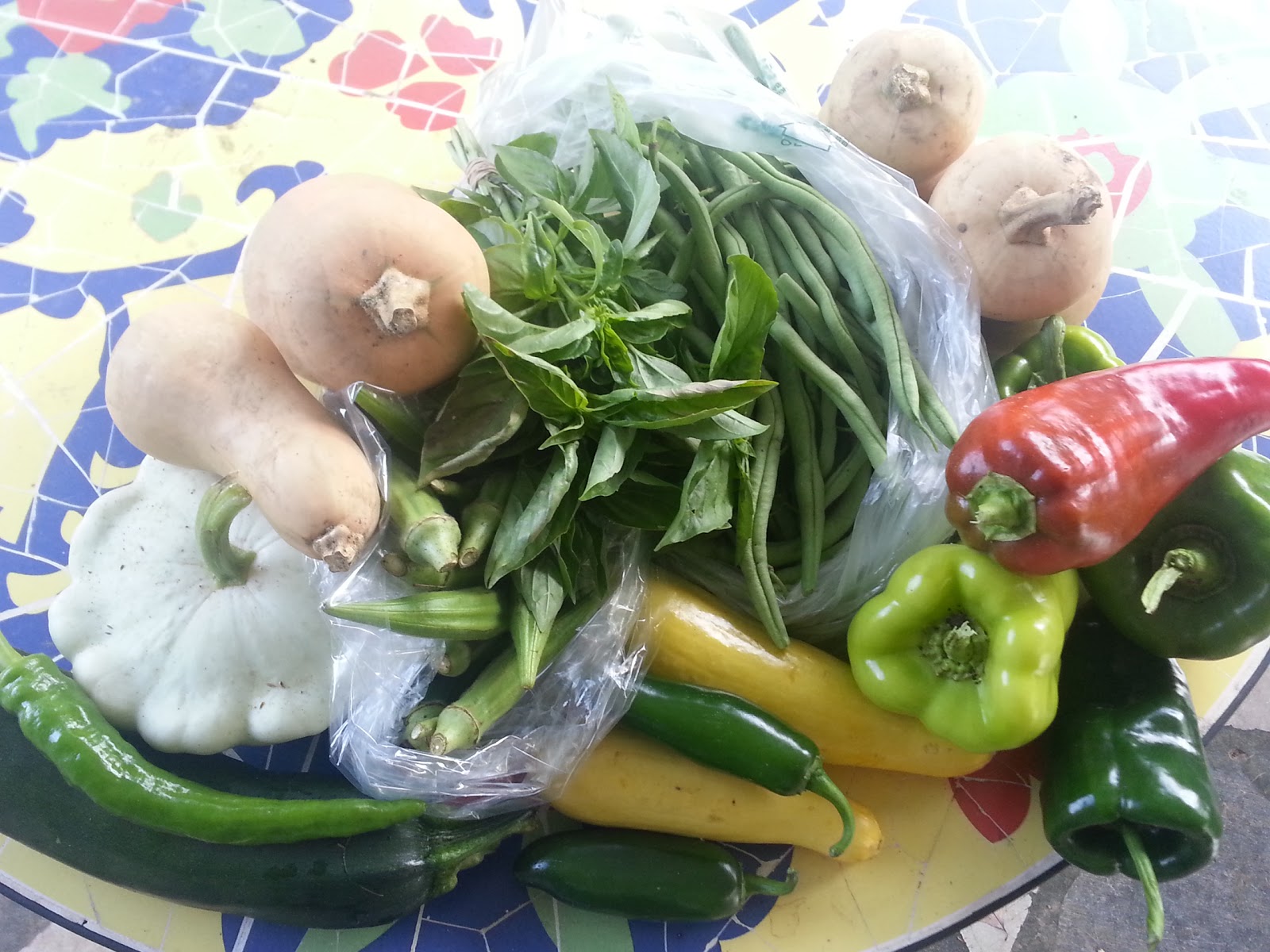 full tummies: CSA Week 15 (9/19/13) + What's Cookin'