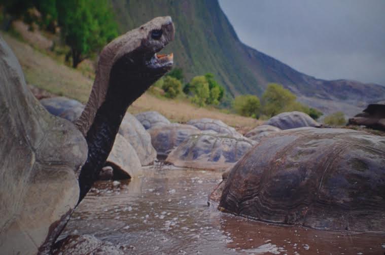 Ofrece el Domo IMAX horarios especiales en su cartelera para el lunes ...