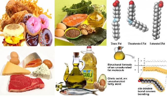 Fat facts, saturated or unsaturated what to choose - CureZone