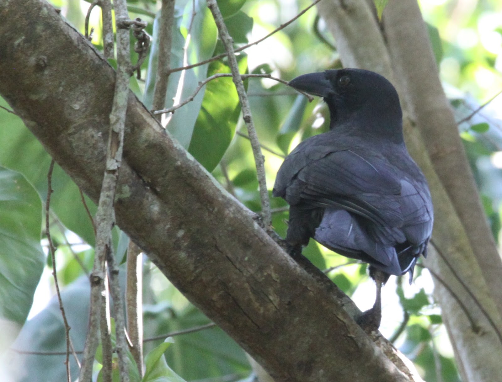 The Bagsy Blog: 04/10/13