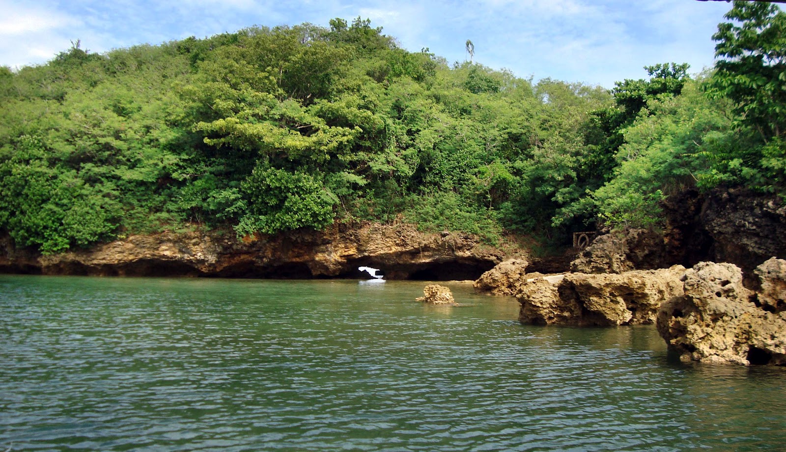 Living with Nature - School on Blog by Dr. Abercio V. Rotor: Have you ...