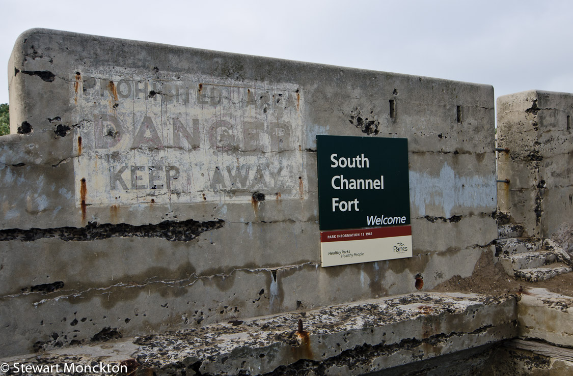 Paying Ready Attention - Photo Gallery: Macro Monday - South Channel Fort.