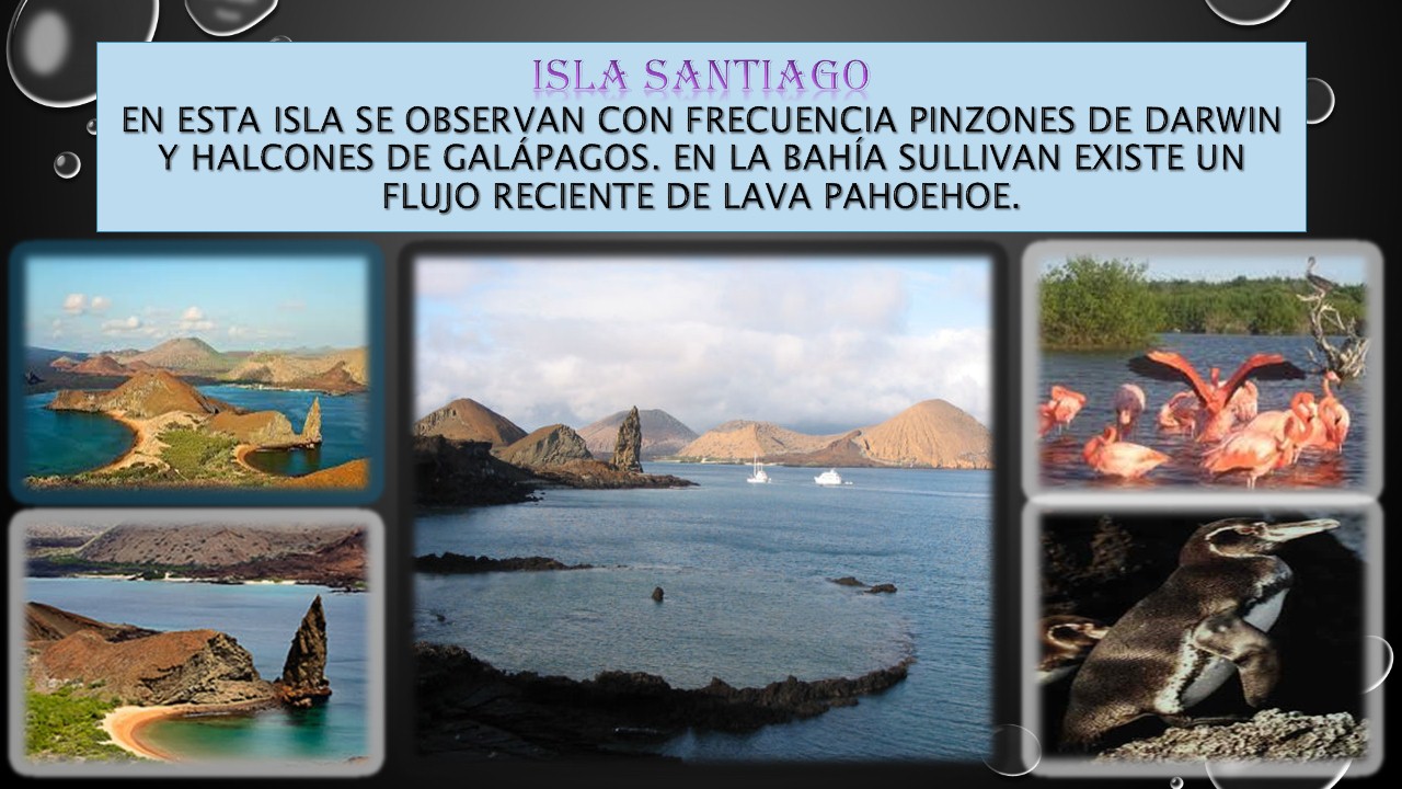 EL TURISMO EN EL ECUADOR : Región Insular o Galapagos, Cuarta Semana