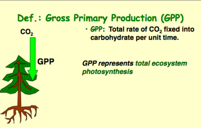 GROSS PRIMARY PRODUCTION IN PLANT(GPP) ~ Sciences