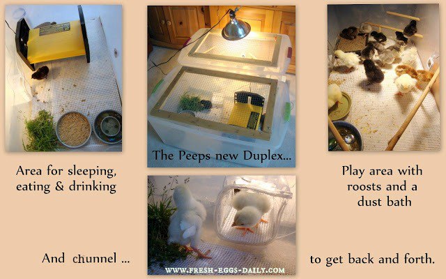 Make a Plastic Tote Brooder Box for Chicks - Fresh Eggs Daily® with ...