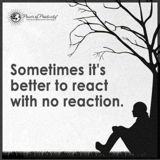 Sometimes it's better to react with no reaction - Quote - 101 QUOTES