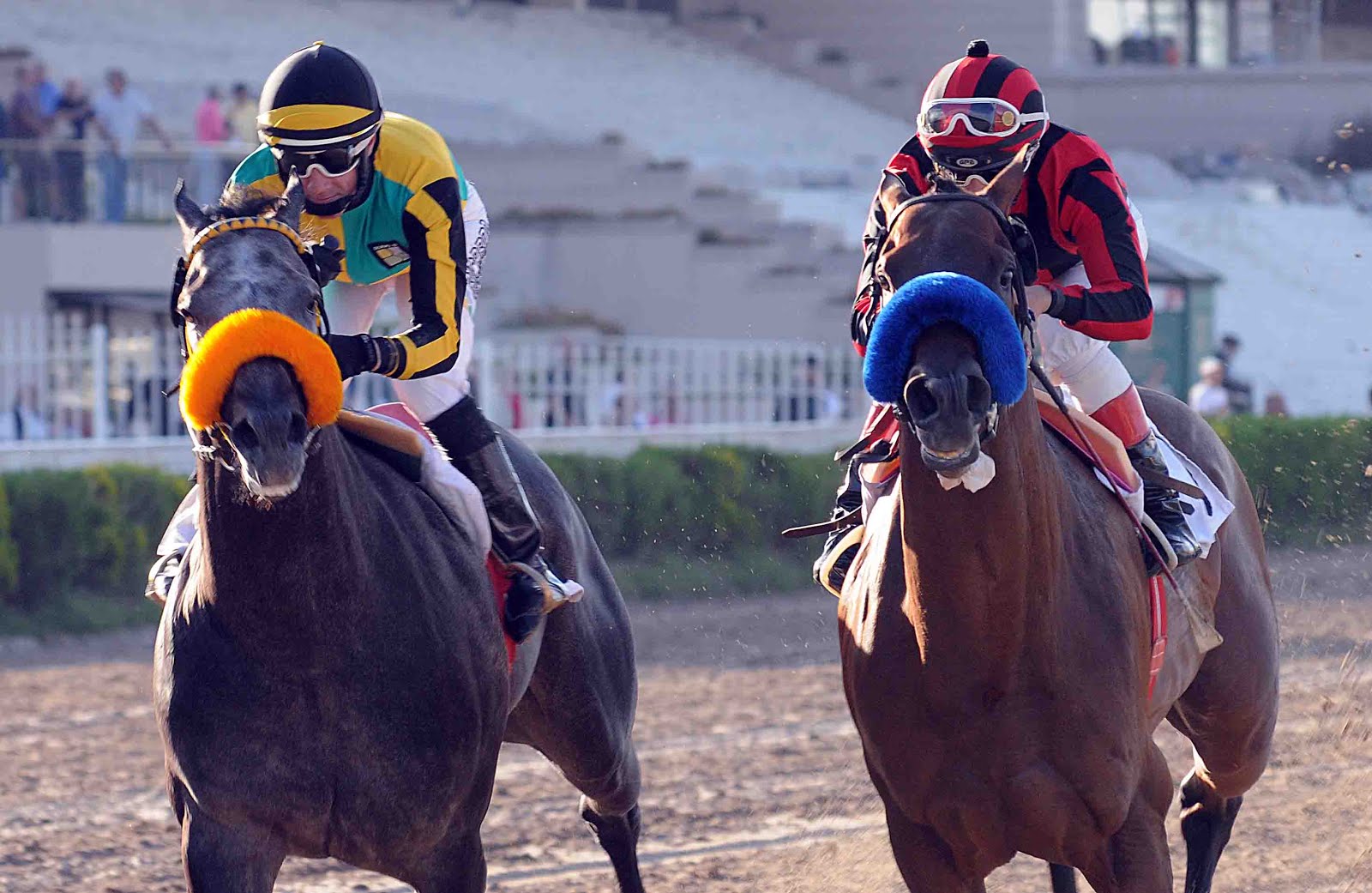 DE TURF UN POCO...: 2013-01-20