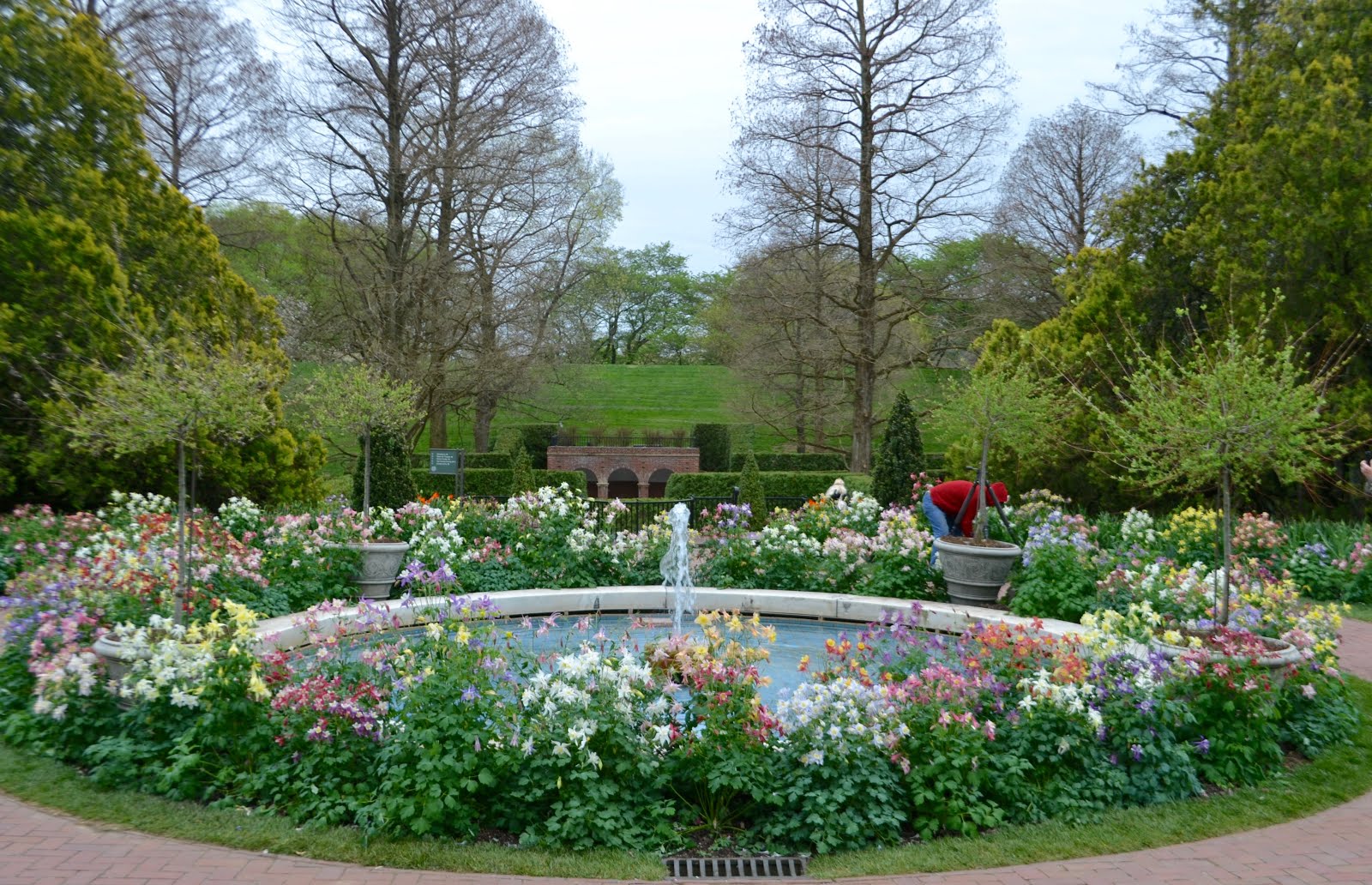 It's All About Purple: Longwood Gardens In Spring