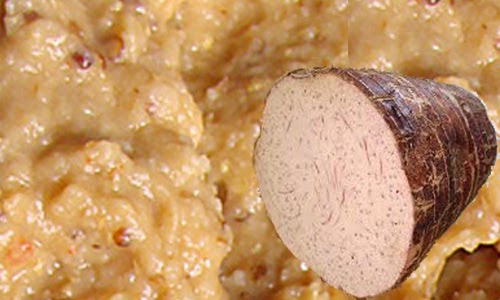 Bengali food stories