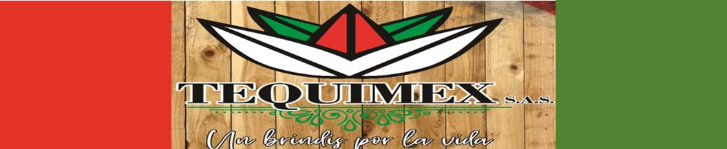 Tequimex: Misión, Vision Y Valores