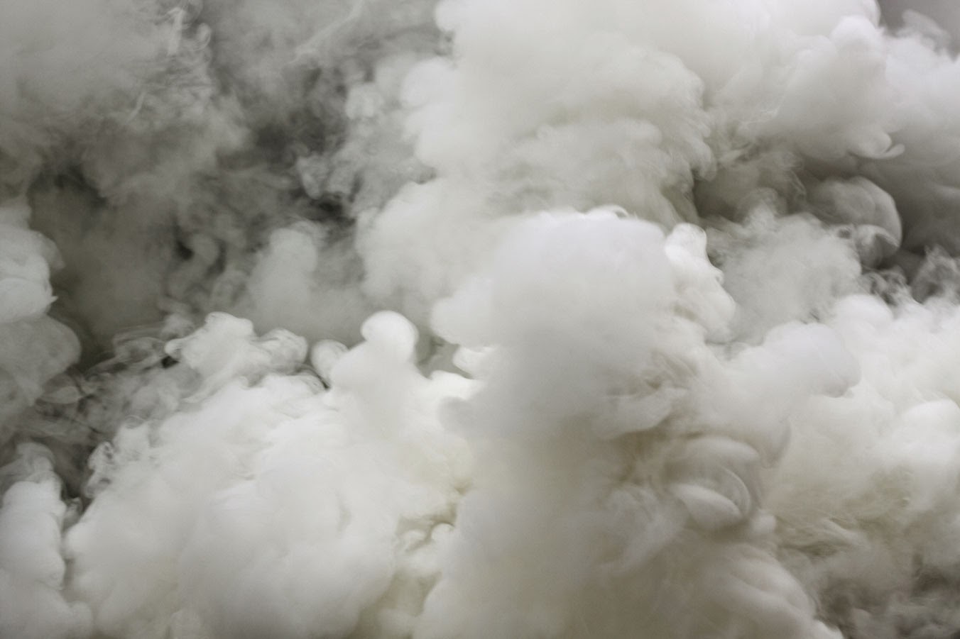 dEsoRdeN: pOr eL hUmo SabRáS dÓnDe eSTáN LaS chULetAs