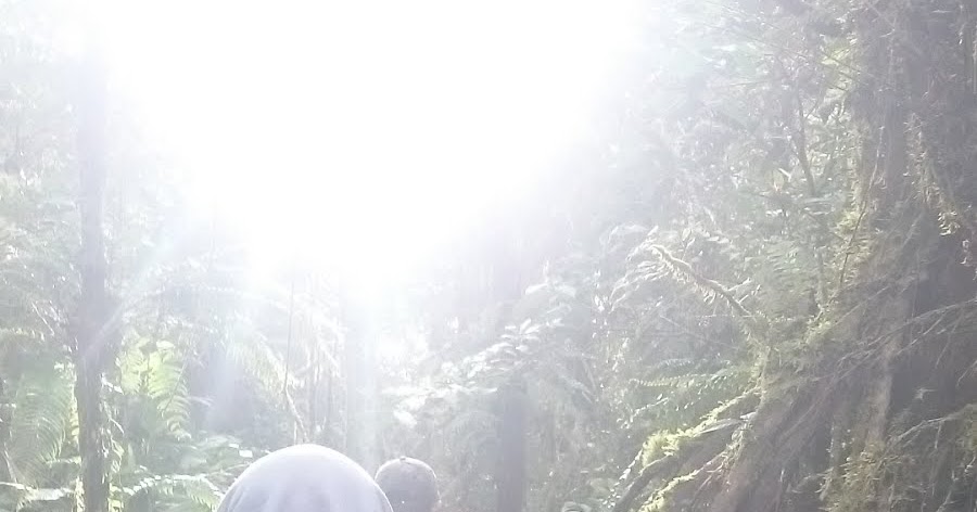 Pengalaman ke Gunung Nuang melalui Pangsun, Hulu langat - OhVacay.Com