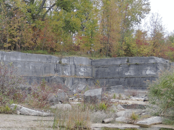 Chazy Reef - Part II ~ Hudson Valley Geologist