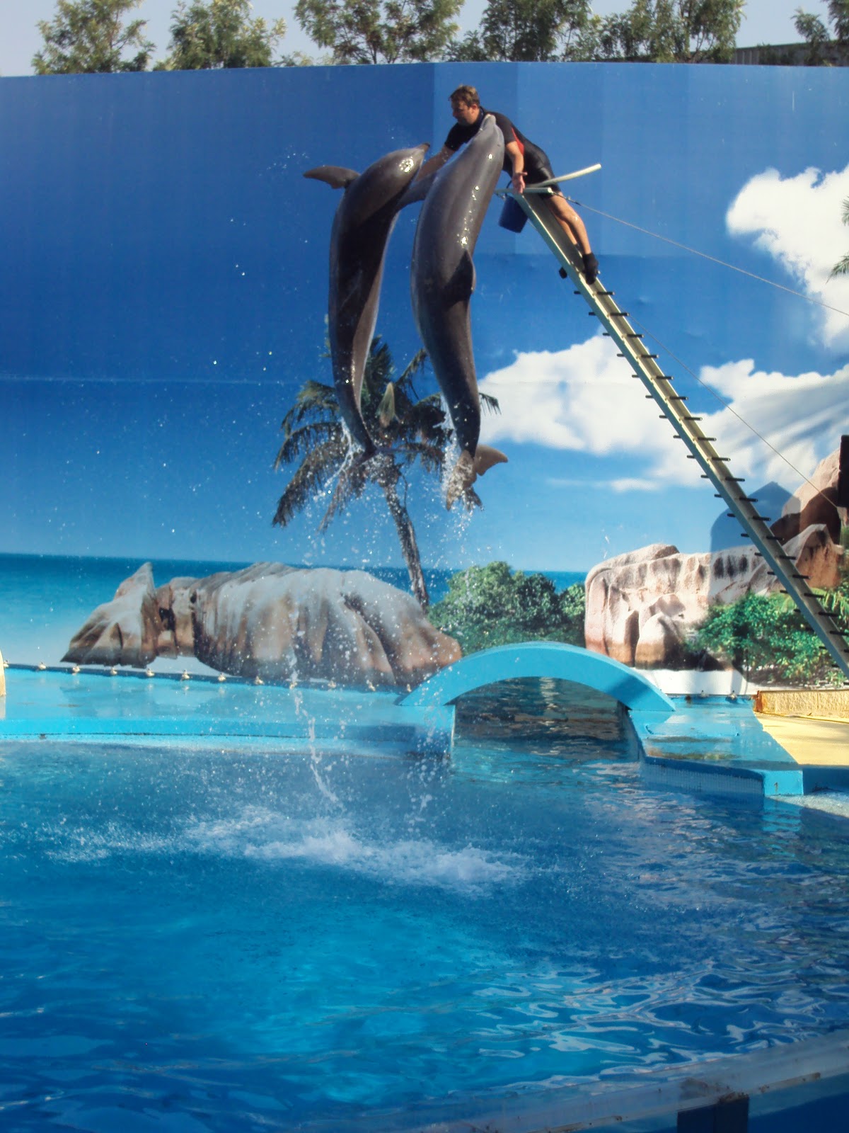 Cantinho da Zá: Zoomarine