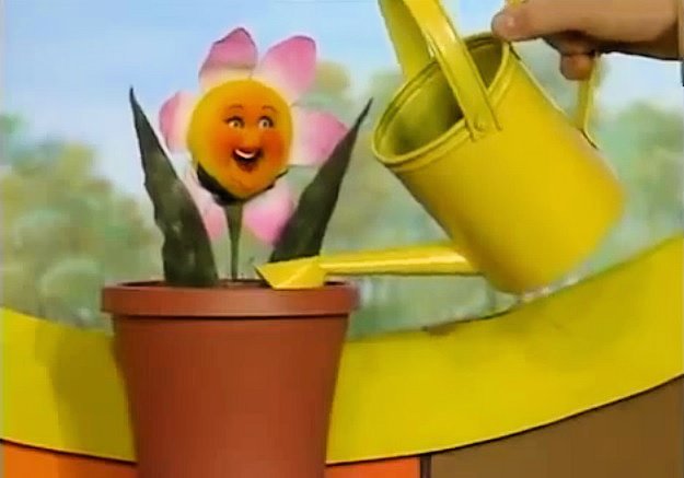 Our Nostalgic Memories: Pappyland