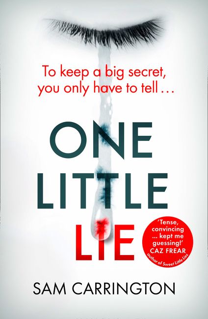 The Last Page Turned Book Blog: Review: ONE LITTLE LIE, by Sam Carrington