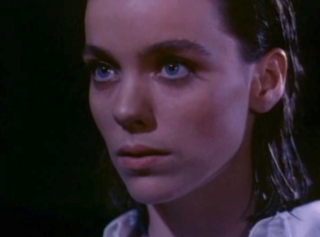 Darla Haynes's Instagram, Twitter & Facebook on IDCrawl