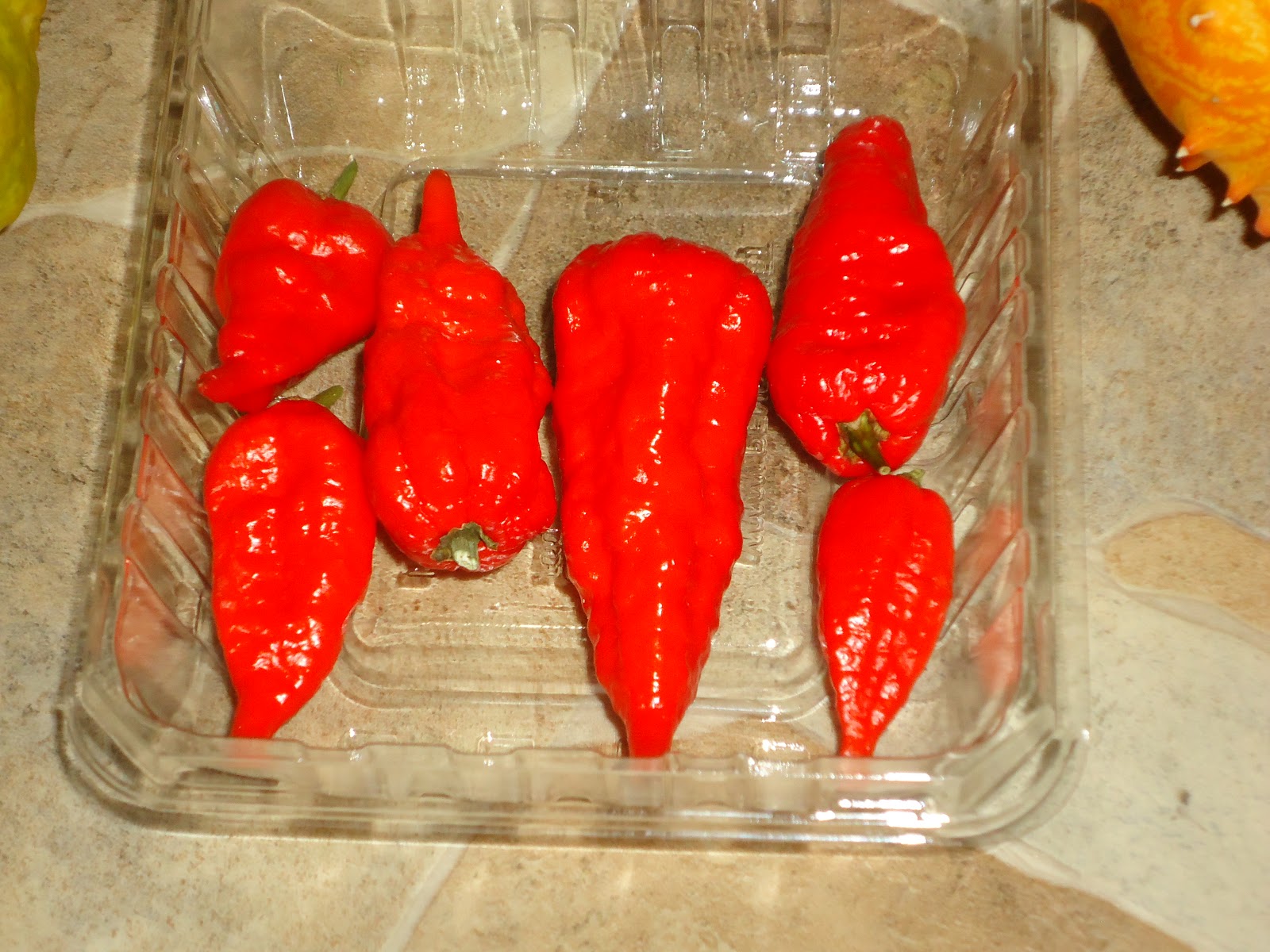 Fishful Thinking: Frieda's Spooky Foods - Win on Facebook!