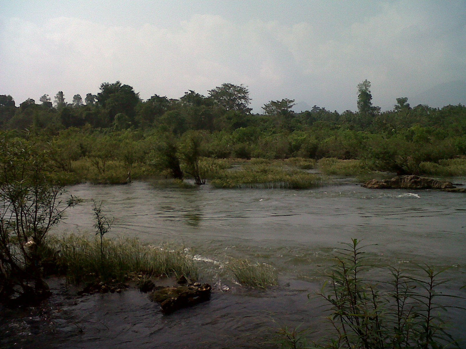 nilambur landscape